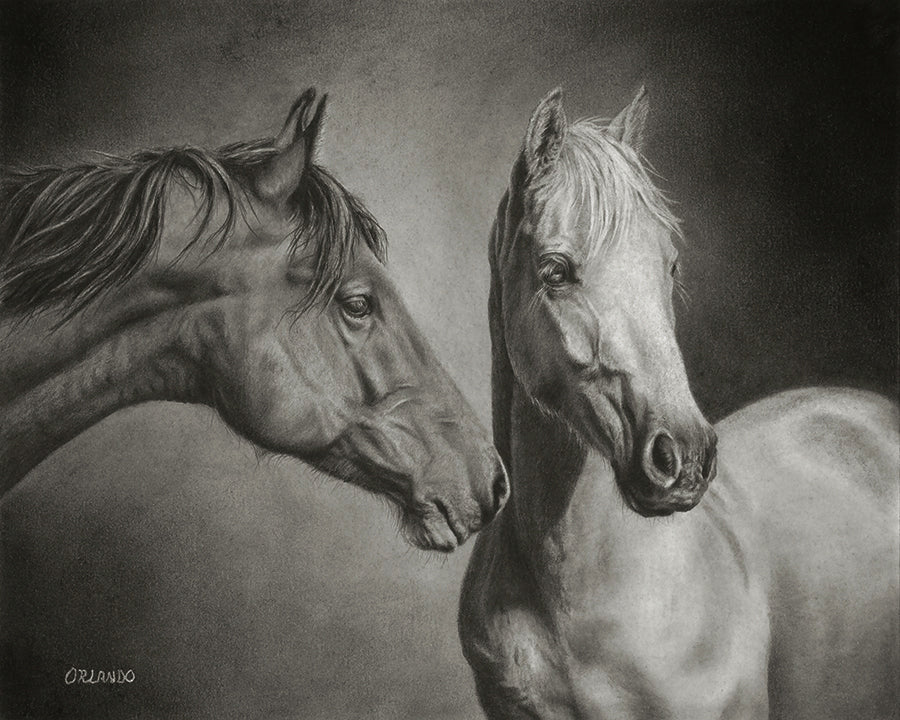 FRIENDS- ORIGINAL DRAWING – Amaran